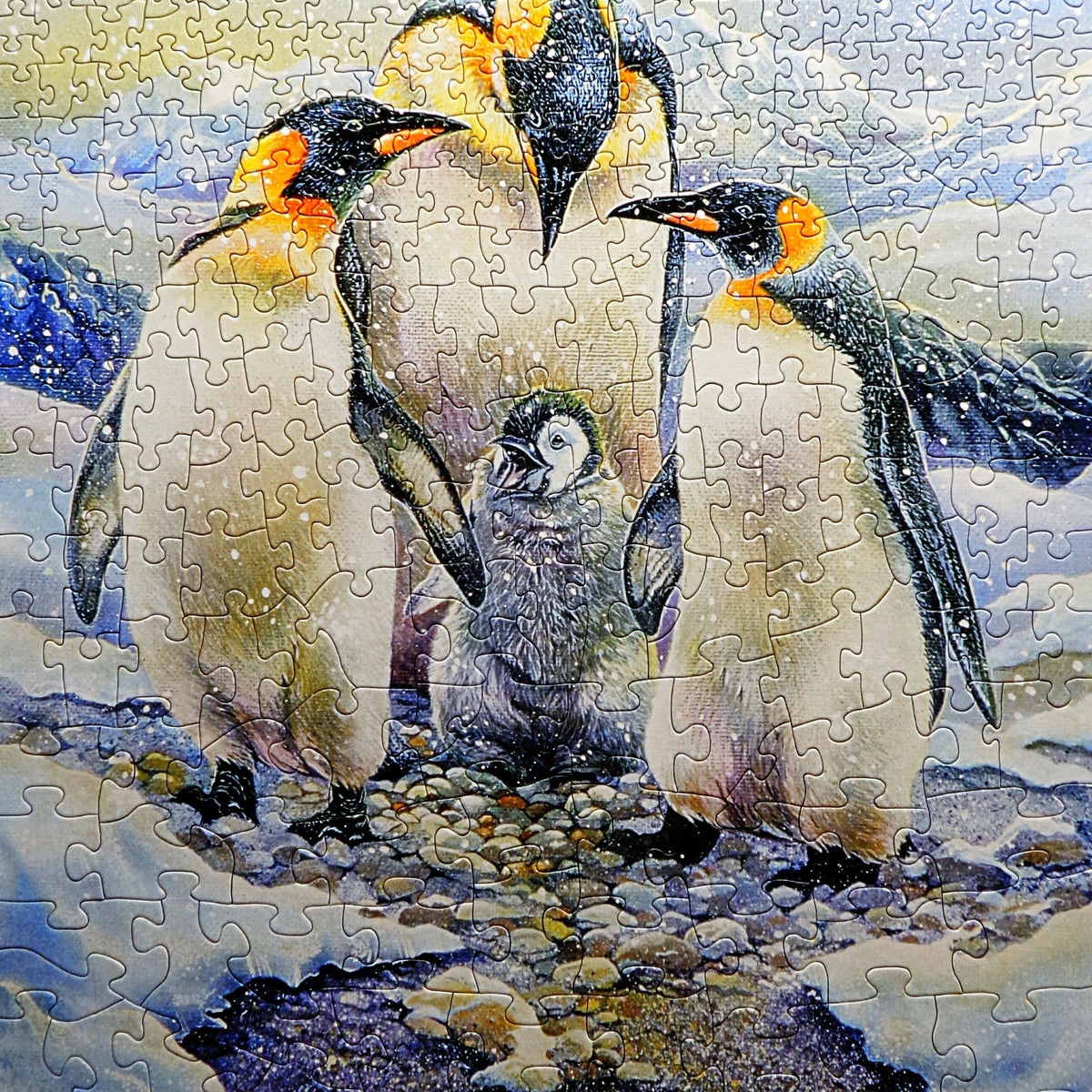 The Picture Perfect Penguin Family — USA Cobble Hill Puzzles