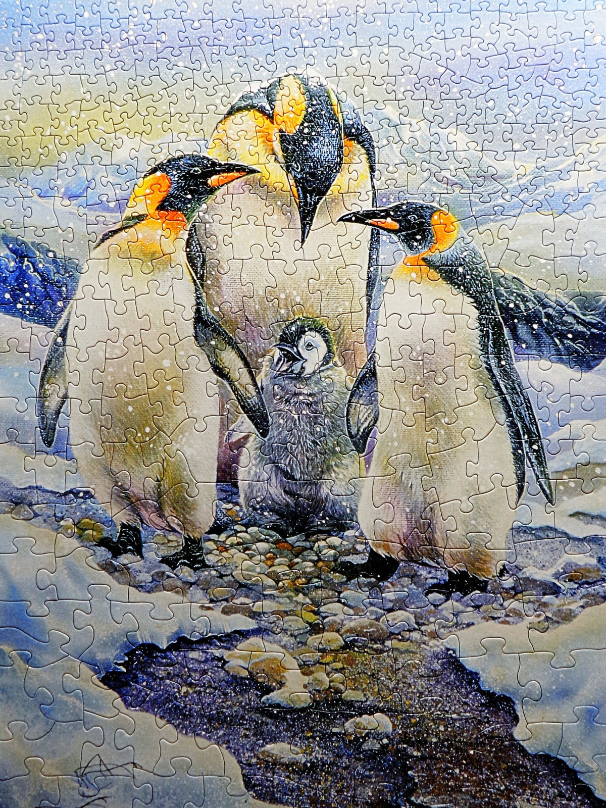 The Picture Perfect Penguin Family — USA Cobble Hill Puzzles