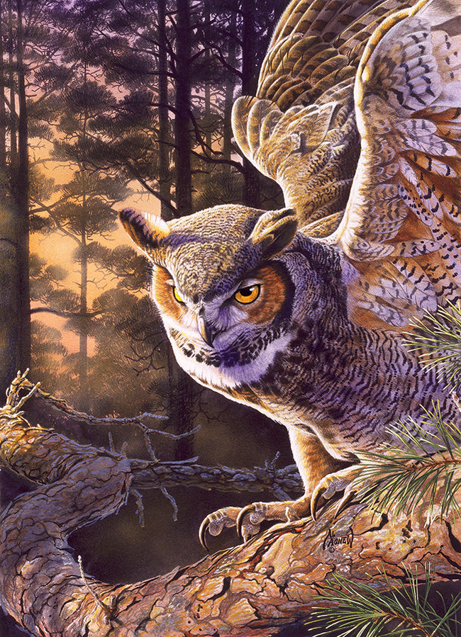 Birds — USA Cobble Hill Puzzles