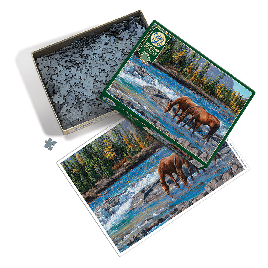 On the Rocks | 1000 Piece - Cobble Hill Puzzles — USA Cobble Hill Puzzles
