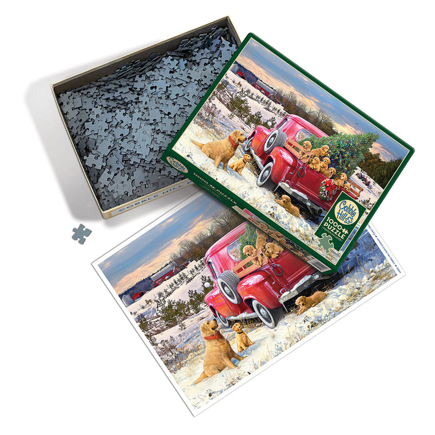 Family Outing | 1000 Piece - Cobble Hill Puzzles — USA Cobble Hill Puzzles