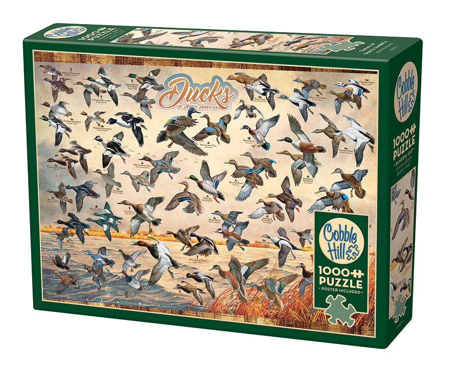 Ducks of North America | 1000 Piece - Cobble Hill Puzzles — USA Cobble ...