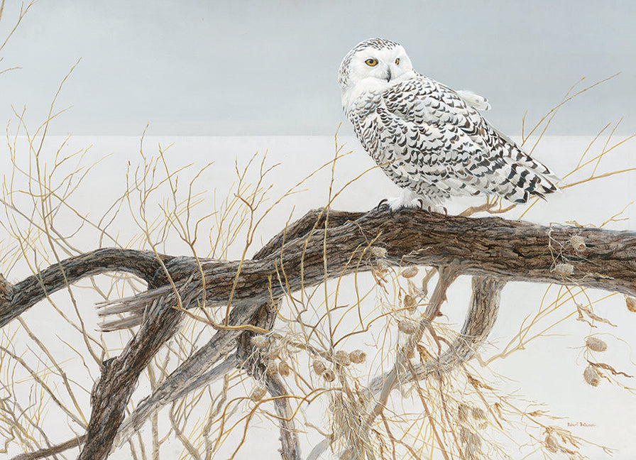 Robert Bateman — USA Cobble Hill Puzzles